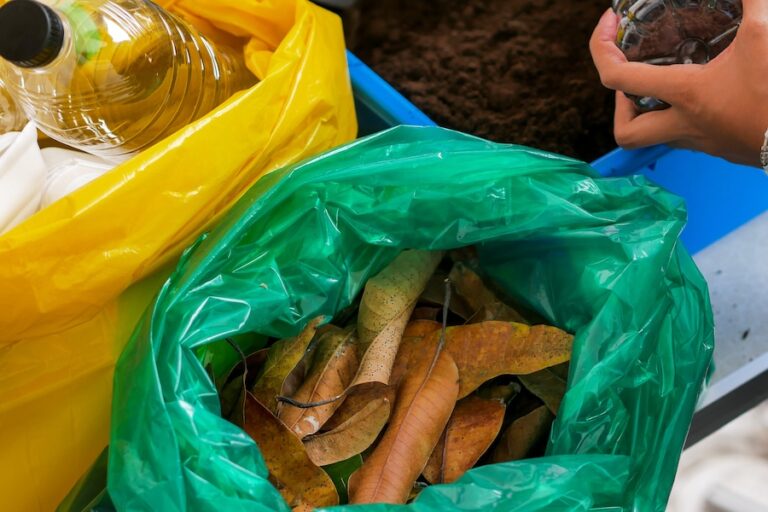 DSNY Updates: Compost Fine Pause & Commercial Waste Zones - SiteCompli